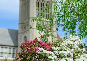 Undergraduate Admissions | New Jersey City University